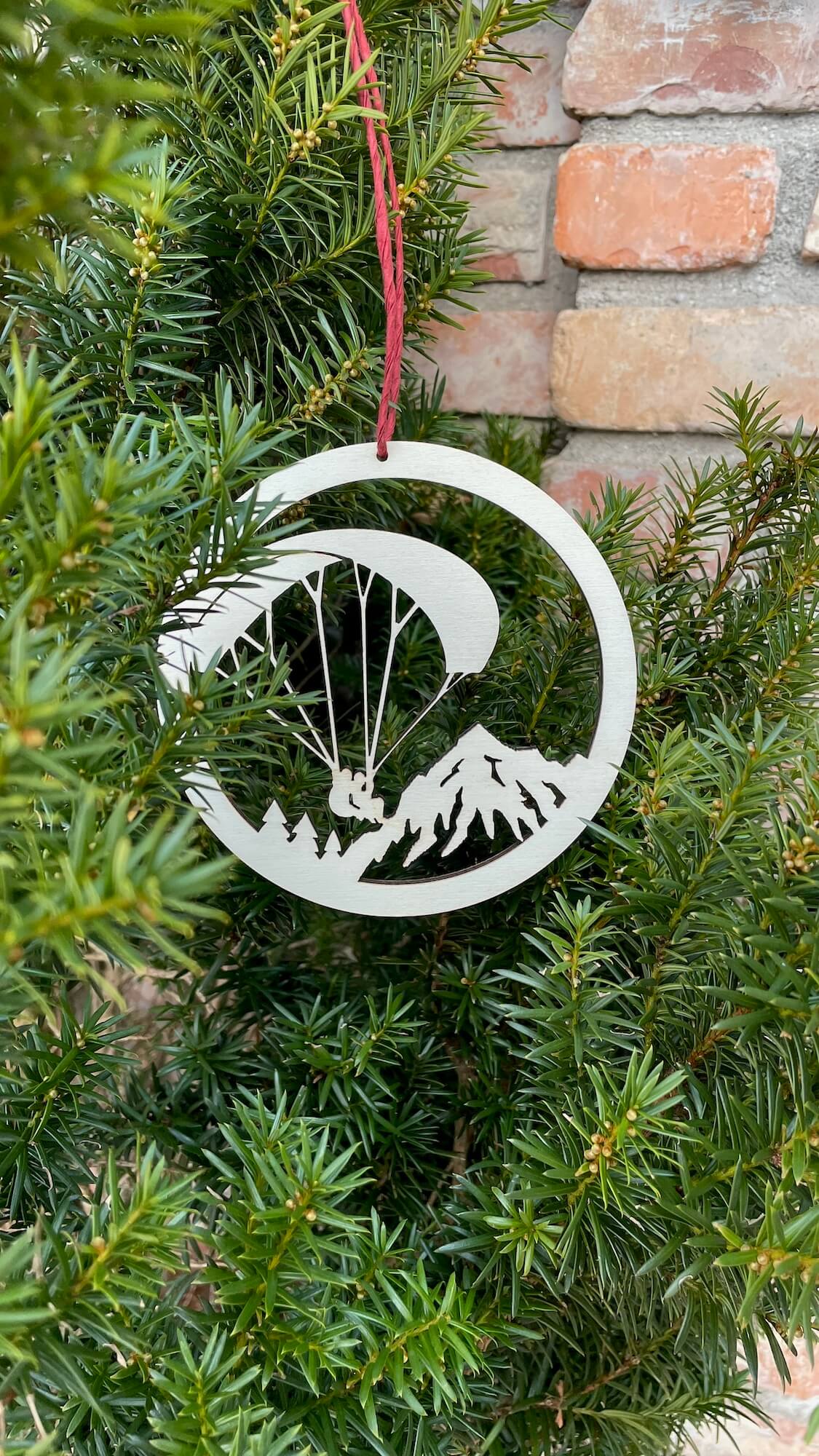 Tandem Paragliding Christmas Gift 2024